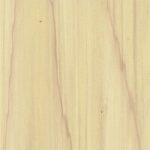 Poplar Hardwood Stair Treads | Blackford & Sons Hardwood Stair Treads